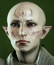 Dirthamen | Dragon Age Wiki | Fandom
