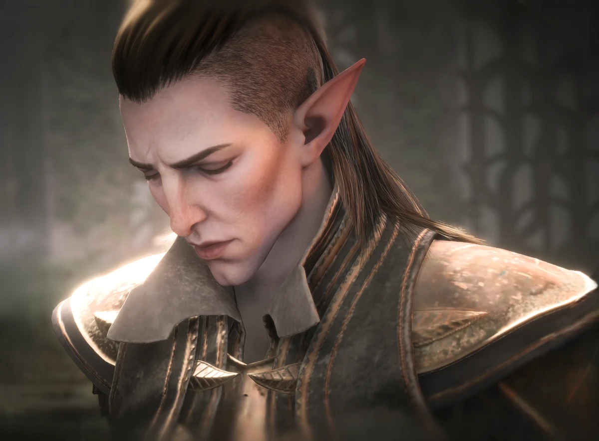 The Wolf's Call | Dragon Age Wiki | Fandom