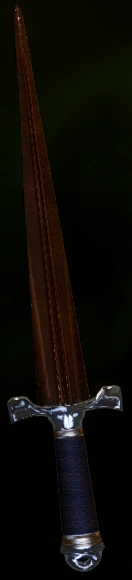 Assassin Blade | Dragon Age Wiki | Fandom