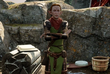 White Wyvern Dragon Age Dragon (Dragon Age) NamuWiki