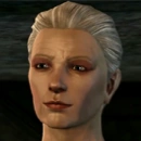 Companions (Origins) | Dragon Age Wiki | Fandom