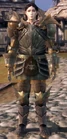 Chevalier armor set | Dragon Age Wiki | Fandom