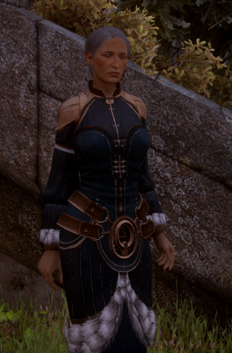 Your Trainer | Dragon Age Wiki | Fandom