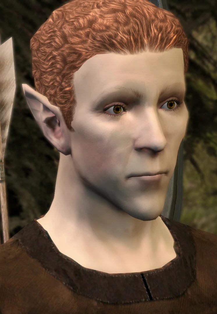 Pol | Dragon Age Wiki | Fandom