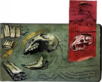 Grim Anatomy | Dragon Age Wiki | Fandom