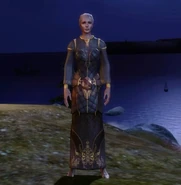 Mage Robes | Dragon Age Wiki | Fandom