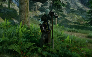 Voth | Dragon Age Wiki | Fandom