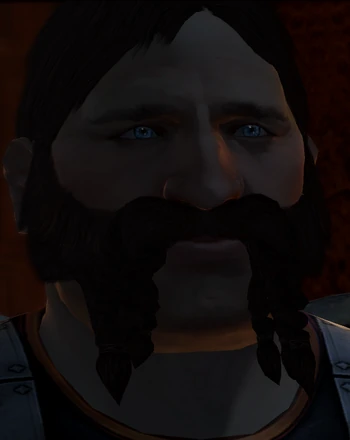 Merin | Dragon Age Wiki | Fandom