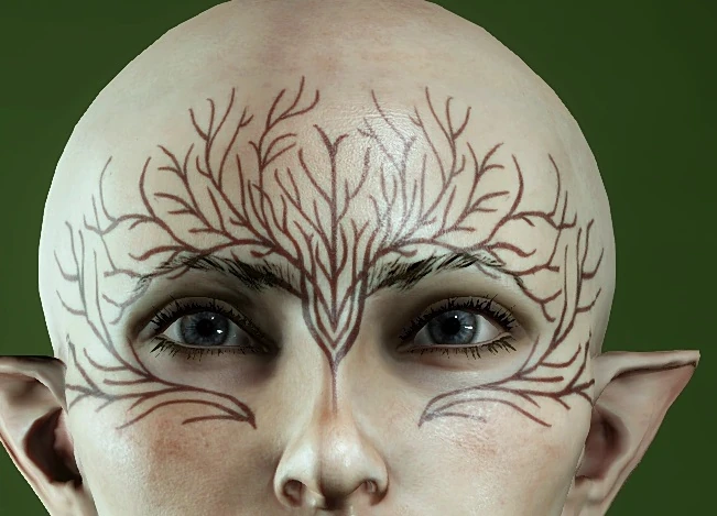 Vallaslin | Dragon Age Wiki | Fandom