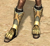 Golden Greaves | Dragon Age Wiki | Fandom