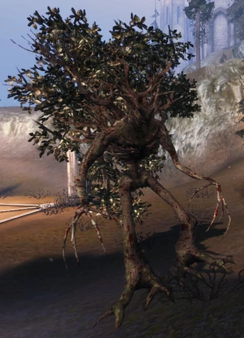Ancient sylvan | Dragon Age Wiki | Fandom