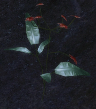 Blood Lotus (Origins) | Dragon Age Wiki | Fandom