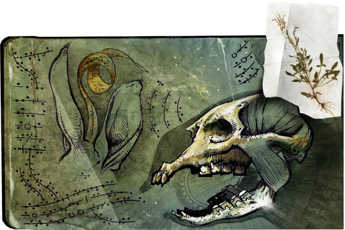 Grim Anatomy | Dragon Age Wiki | Fandom