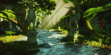 Arbor Wilds | Dragon Age Wiki | Fandom