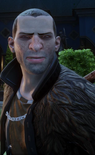 Rion | Dragon Age Wiki | Fandom