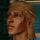 Companions (Origins) | Dragon Age Wiki | Fandom