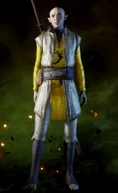 Reinforced Apprentice Armor | Dragon Age Wiki | Fandom