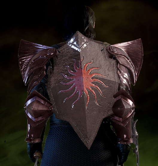 Щит Искателя Dragon Age Wiki Fandom