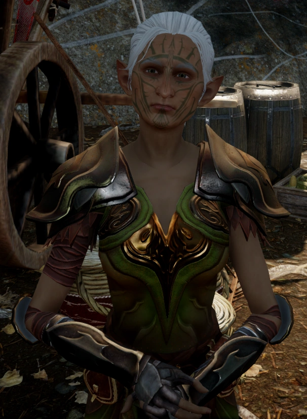 Taniel | Dragon Age Wiki | Fandom