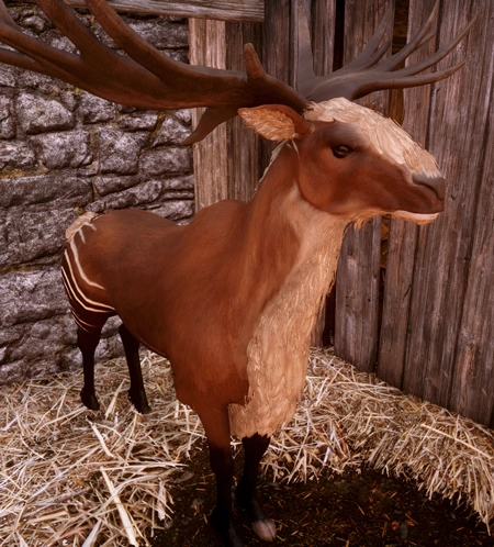 Red Hart | Dragon Age Wiki | Fandom