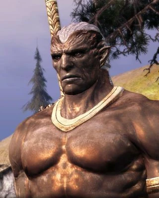 Talk:Sten | Dragon Age Wiki | Fandom