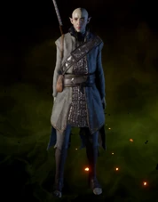 Enchanter Coat Schematic | Dragon Age Wiki | Fandom