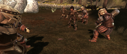 Forest Incline | Dragon Age Wiki | Fandom