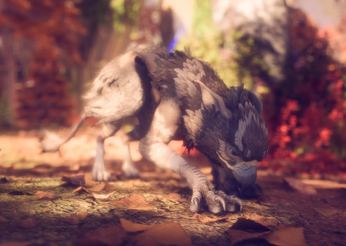 How to Train a Griffon | Dragon Age Wiki | Fandom