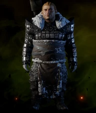 Stone-Bear Armor | Dragon Age Wiki | Fandom
