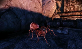 Spider Shape | Dragon Age Wiki | Fandom