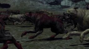 Mabari | Dragon Age Wiki | Fandom
