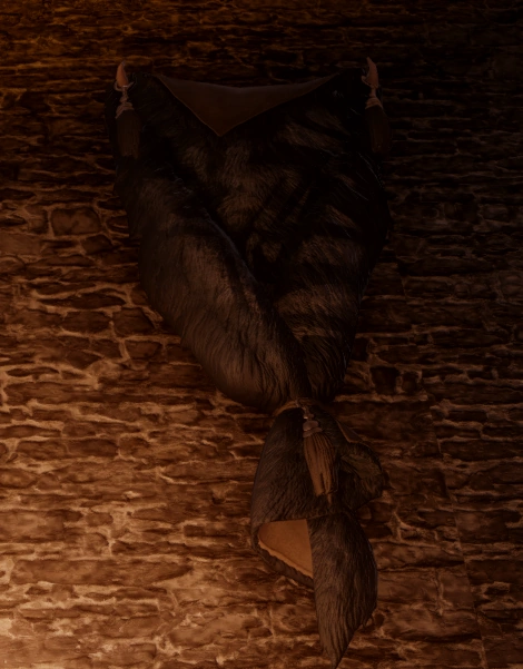 Avvar Heraldry | Dragon Age Wiki | Fandom