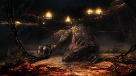 Drake | Dragon Age Wiki | Fandom