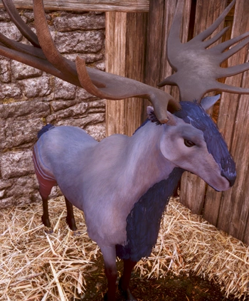 Tirashan Swiftwind | Dragon Age Wiki | Fandom