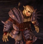 Compañeros (Origins) | Dragon Age Wiki | Fandom