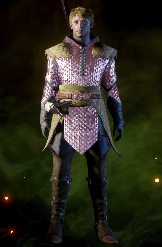 Defender Armor | Dragon Age Wiki | Fandom