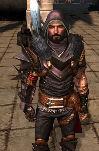 Mantle of the Champion (mage) | Dragon Age Wiki | Fandom