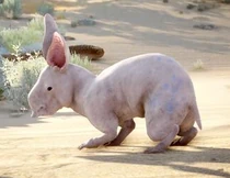 Nug | Dragon Age Wiki | Fandom