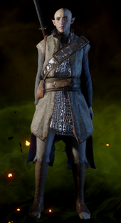 Reinforced Enchanter Armor | Dragon Age Wiki | Fandom