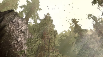 Dalish Elf Origin | Dragon Age Wiki | Fandom