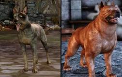 Mabari | Dragon Age Wiki | Fandom
