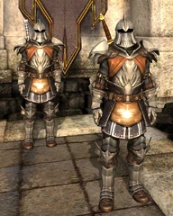 Kirkwall City Guard | Dragon Age Wiki | Fandom