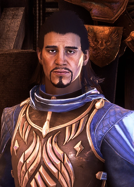 Мастер по броне | Dragon Age Wiki | Fandom