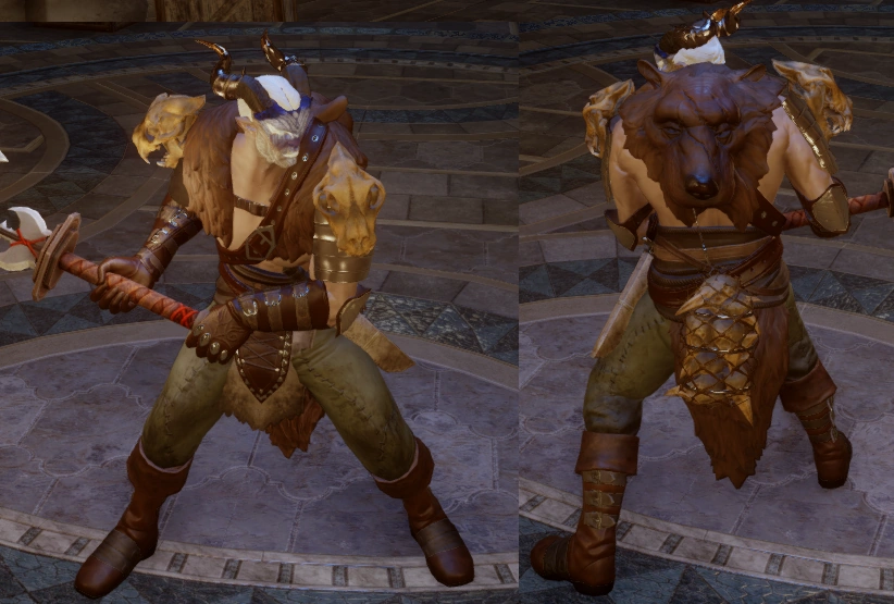 Katari's Hide | Dragon Age Wiki | Fandom