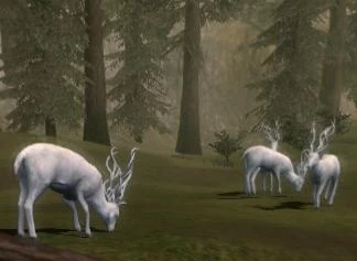 Codex entry: Halla | Dragon Age Wiki | Fandom