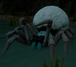 Spider | Dragon Age Wiki | Fandom
