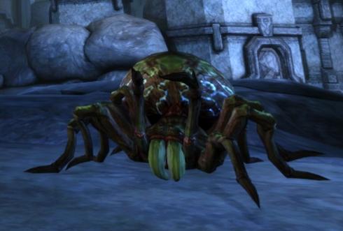 Giant poisonous spider | Dragon Age Wiki | Fandom