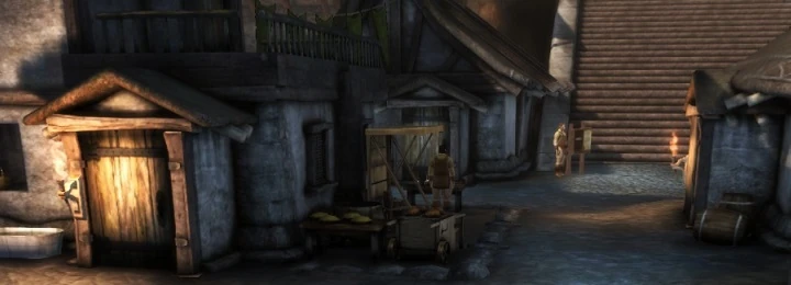 Die Familie Howe | Dragon Age Wiki | Fandom