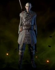 Superior Battlemage Armor Schematic | Dragon Age Wiki | Fandom