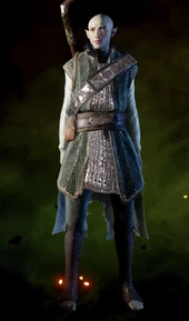 Enchanter Coat | Dragon Age Wiki | Fandom